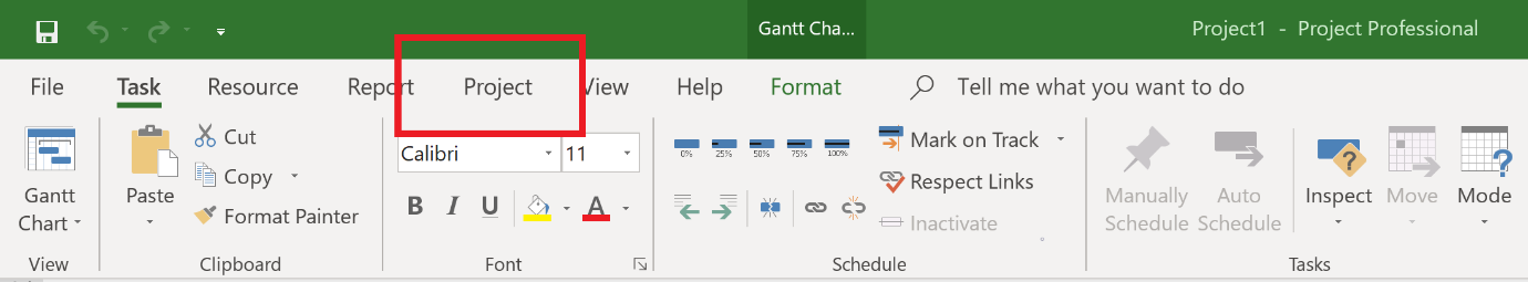How to use Tidy's Microsoft Project Integration